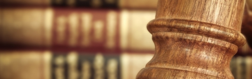 postgraduate study options